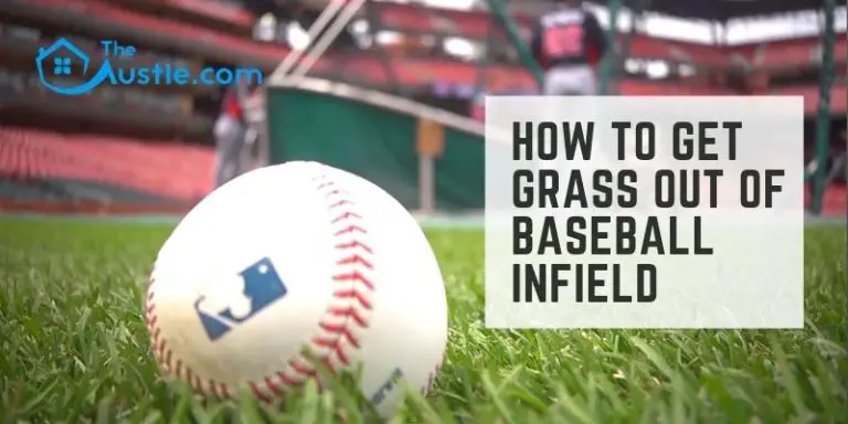 How to Get Grass Out of Baseball Infield- Best Lawn Care Ideas