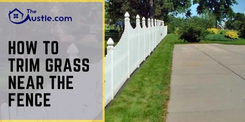 How to Trim Grass Near Fence- Learn the Pro Tactics